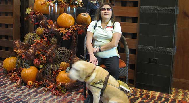 Hawaii State Public Library System | Joy