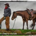 Hawaii State Public Library System | Honokaa Public Library