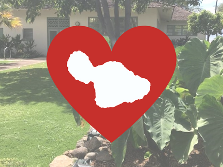 Hawaii State Public Library System | Help Support the Maui Communities