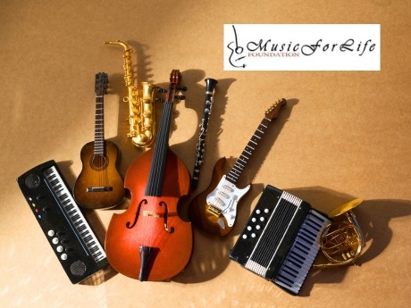 Hawaii State Public Library System | 2025